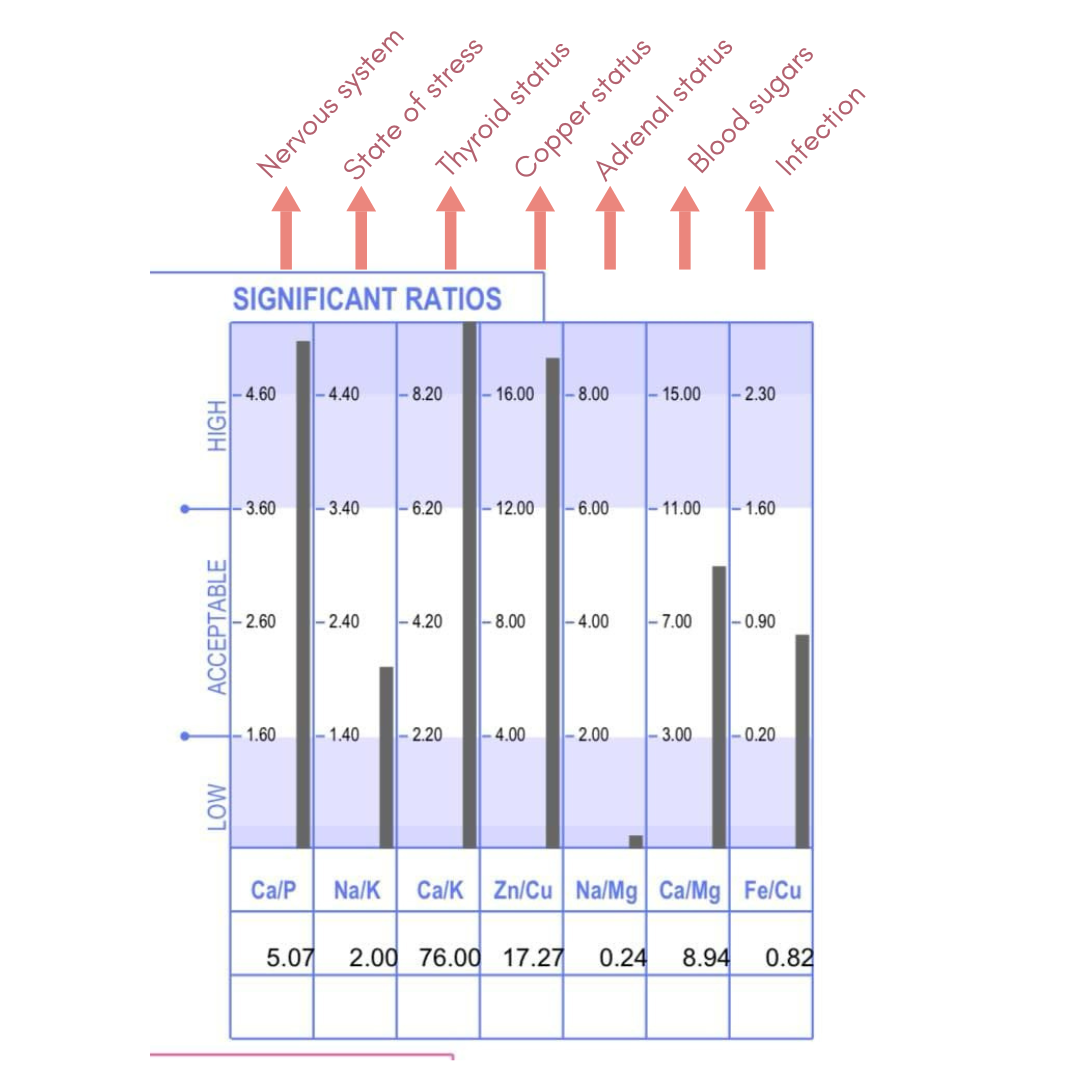 Why HTMA is the best test for improving your fertility - Fruitful ...